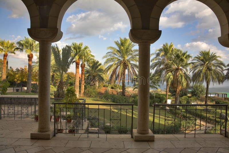 Palm trees and columns. stock image. Image of gallery - 4261515