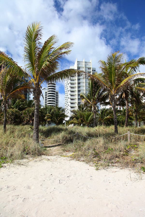 Palm trees condo on beach stock image. Image of tree - 23686443