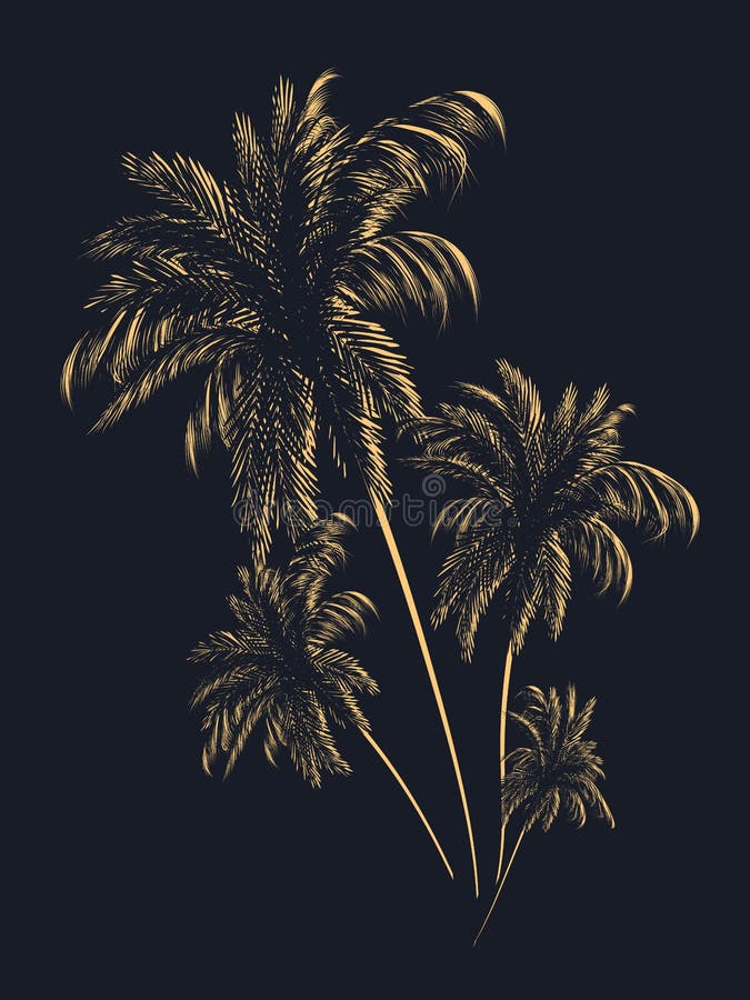 Palm trees in contours stock vector. Illustration of butter - 73291546