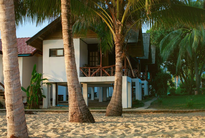 Palm trees and cottages stock image. Image of grove, cottage - 53363805
