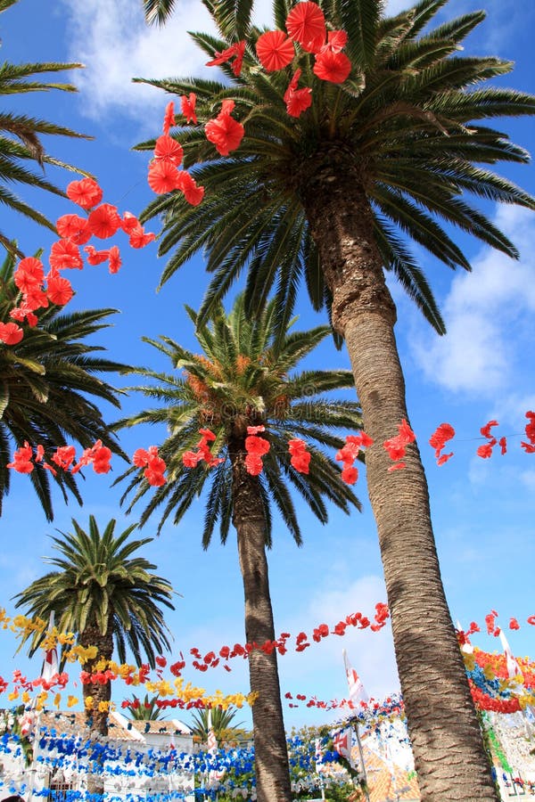 Palm Trees and Decoration for Traditional Party Stock Photo - Image of ...