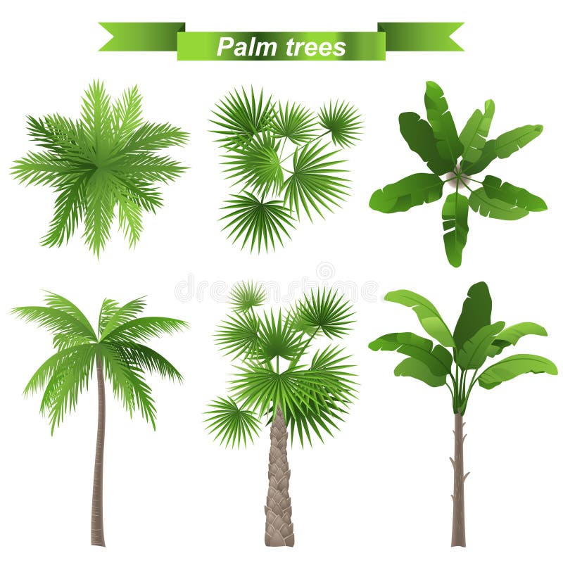 Trees - top view stock vector. Illustration of forest - 41478080