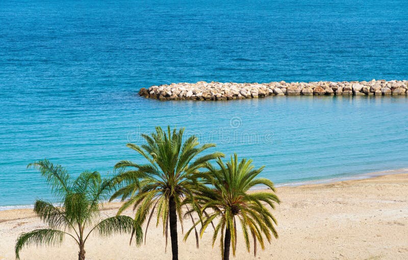 Palm Trees on the Empty Mediterranean Beach Stock Image - Image of ...