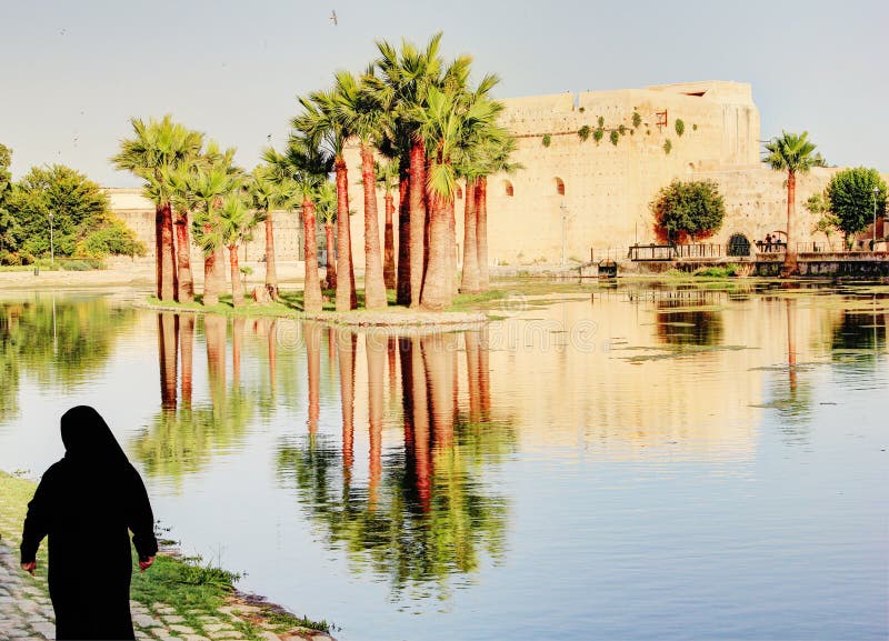 Palm trees in Fez, Morocco stock image. Image of oasis - 33679947