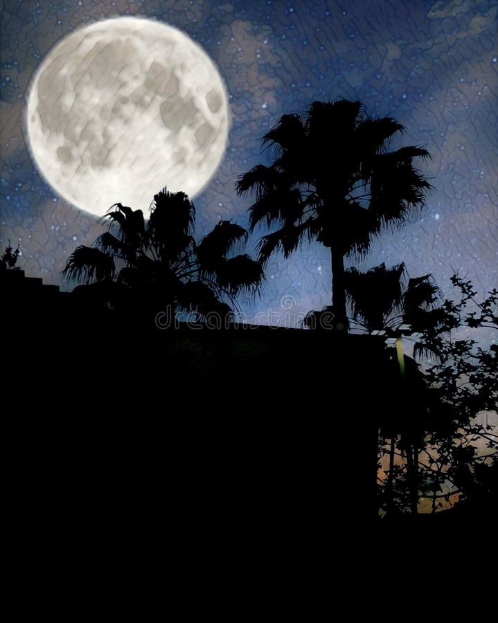 Palm trees and the Moon. stock photo. Image of nature - 113295546