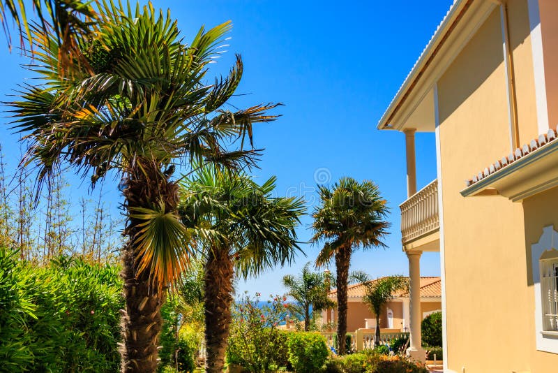 Palm Trees in the Garden of a Villa Stock Photo - Image of blue ...