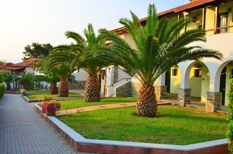 Palm Trees Garden of a Villas Resort Stock Image - Image of ocean ...