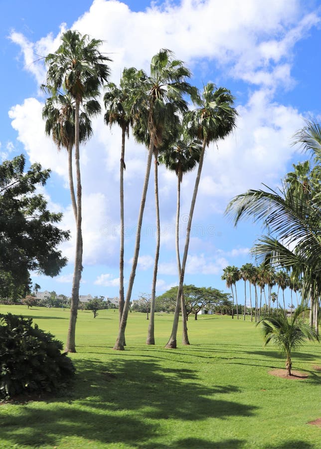 Landscape with the Setting Sun Stock Image - Image of blue, setting ...