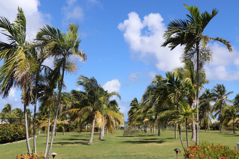 Landscape with the Setting Sun Stock Image - Image of blue, setting ...