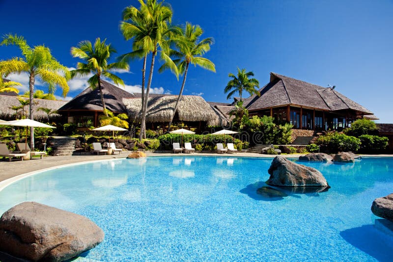 Palm Trees Hanging Over Stunning Hotel Pool Stock Image - Image of ...