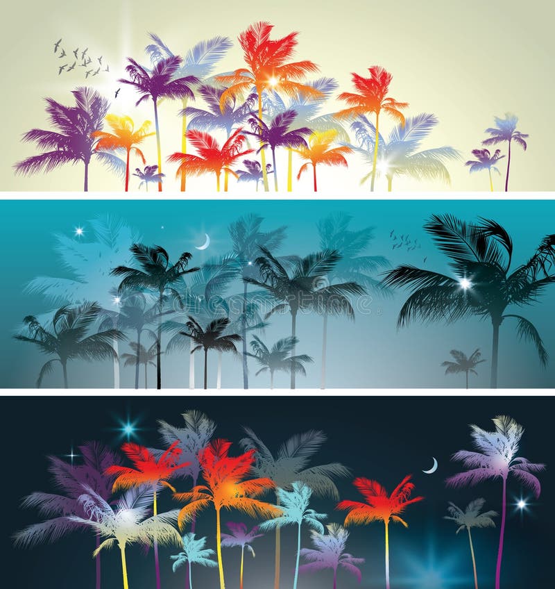 Palm trees header set stock vector. Illustration of coastline - 78714267