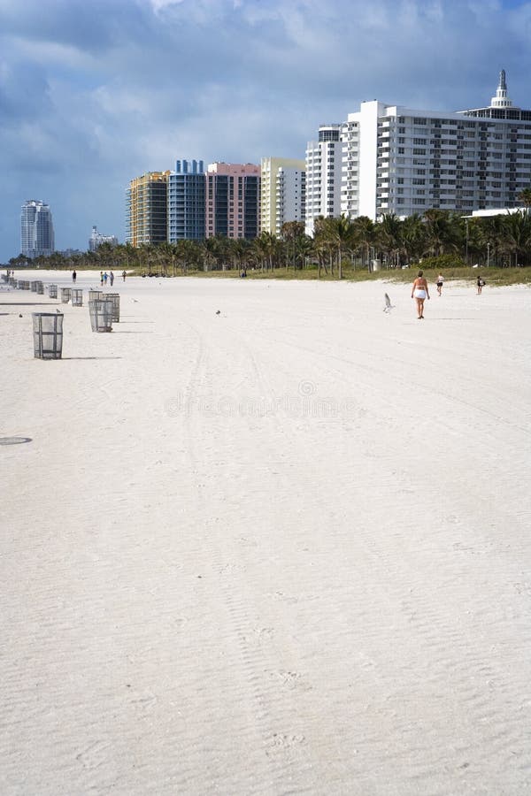 Palm Trees and High Rise Buildings on South Beach Stock Image - Image ...