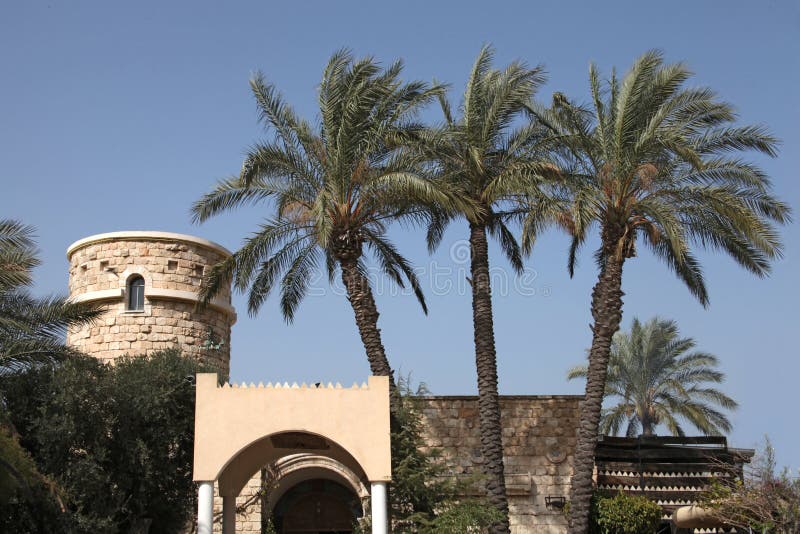 Palm trees and house stock image. Image of country, extravagancy - 24933873