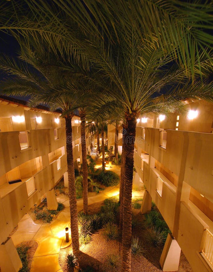 Palm Tree In Courtyard At Night Picture. Image: 84921828