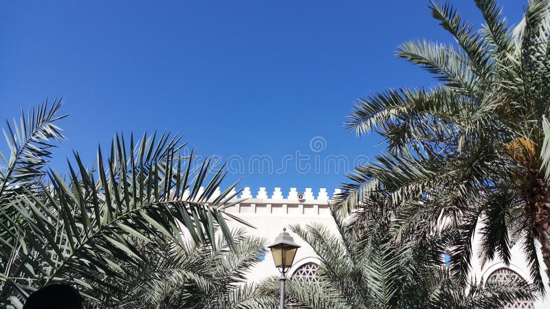 Palm Trees and Islamic Architecture Under a Clear Blue Sky Stock Photo ...