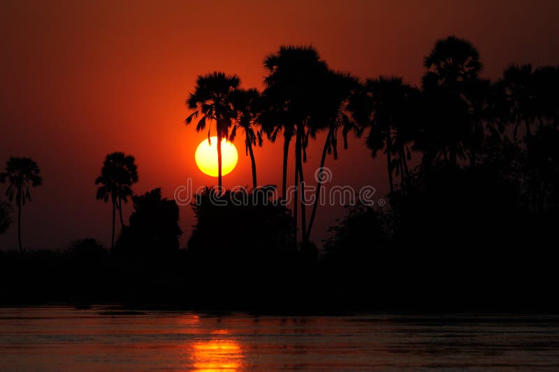 Surreal Sunset Over River Niger Stock Photo - Image of native, tree ...