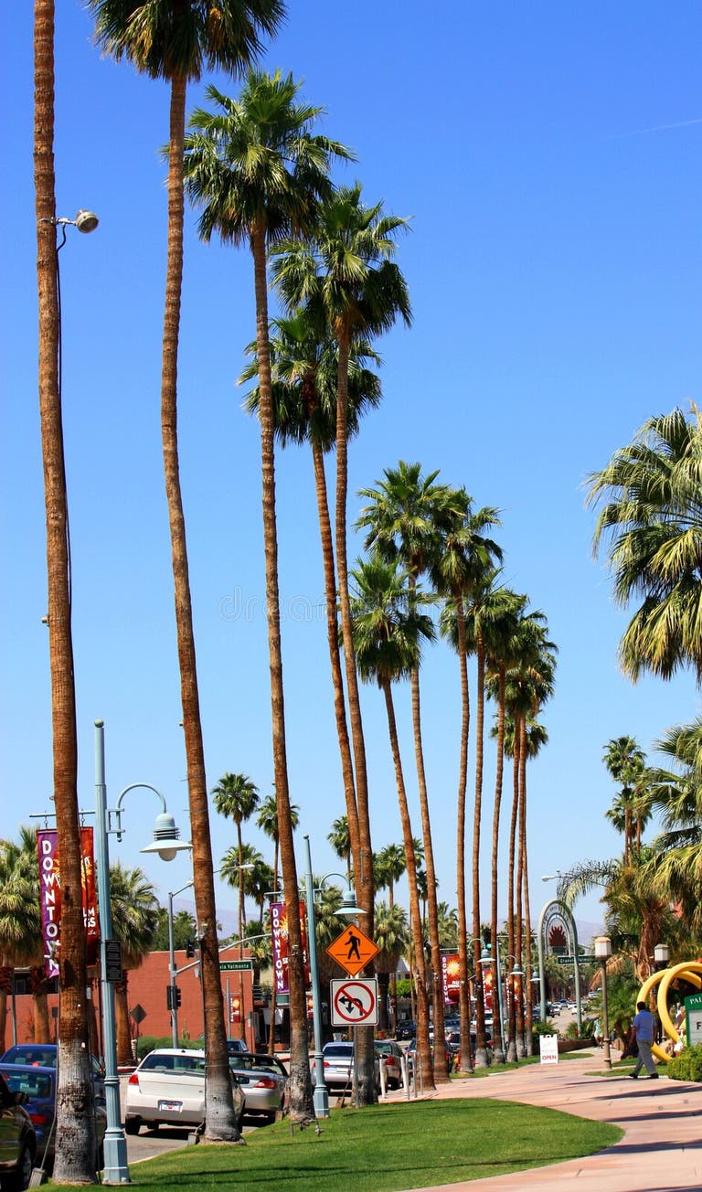 1,308 Line Drawing Palm Stock Photos - Free & Royalty-Free Stock Photos ...