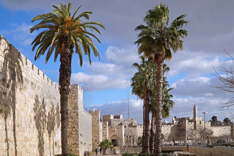 Palm Trees Lining the Route To Jaffa Gate Editorial Photo - Image of ...
