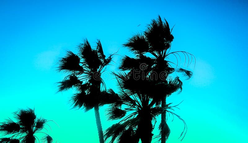 Jrkr Stock Photos - Free & Royalty-Free Stock Photos from Dreamstime