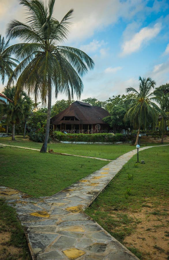 Palm Trees in Malindi in Eastern Kenya Stock Photo - Image of season ...