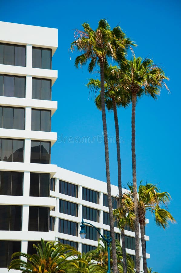 Palm Trees and Modern Architecture Stock Image - Image of chair ...