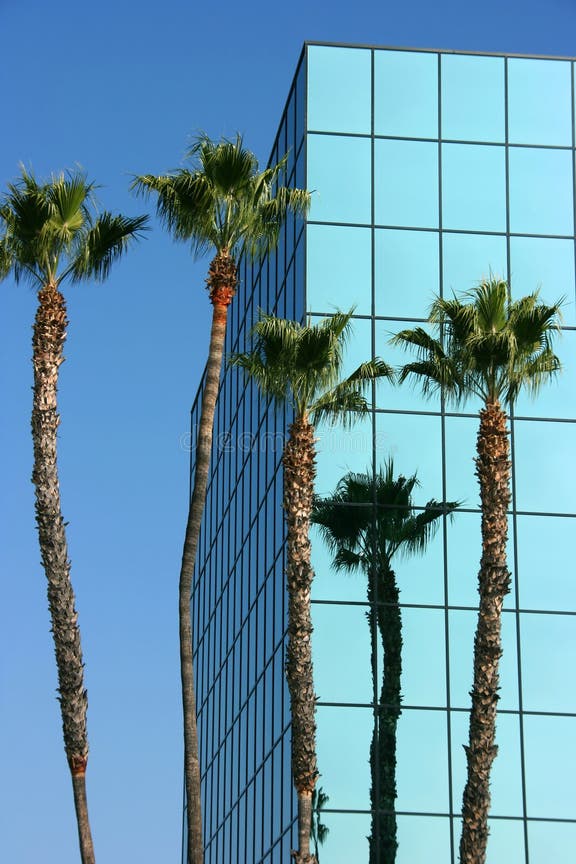 21,020 Modern Architecture Palm Tree Stock Photos - Free & Royalty-Free ...