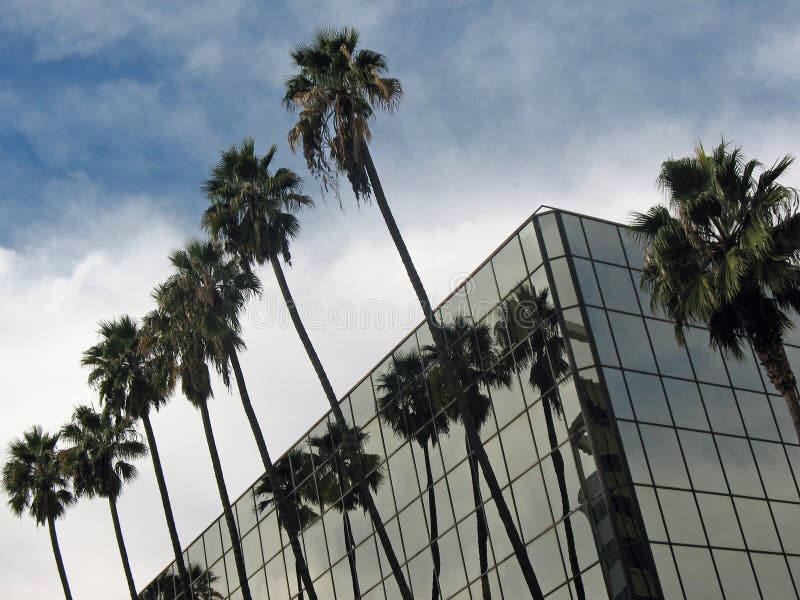 Palm Trees and Modern Building Stock Photo - Image of building ...