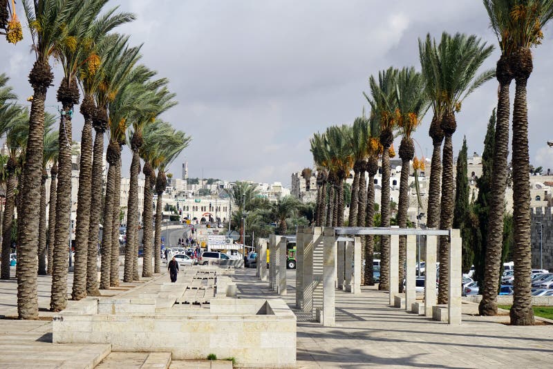 Palm trees editorial stock photo. Image of monument, city - 49012883