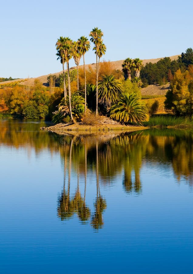 127 Trees Next To River Fall Colors Stock Photos - Free & Royalty-Free ...