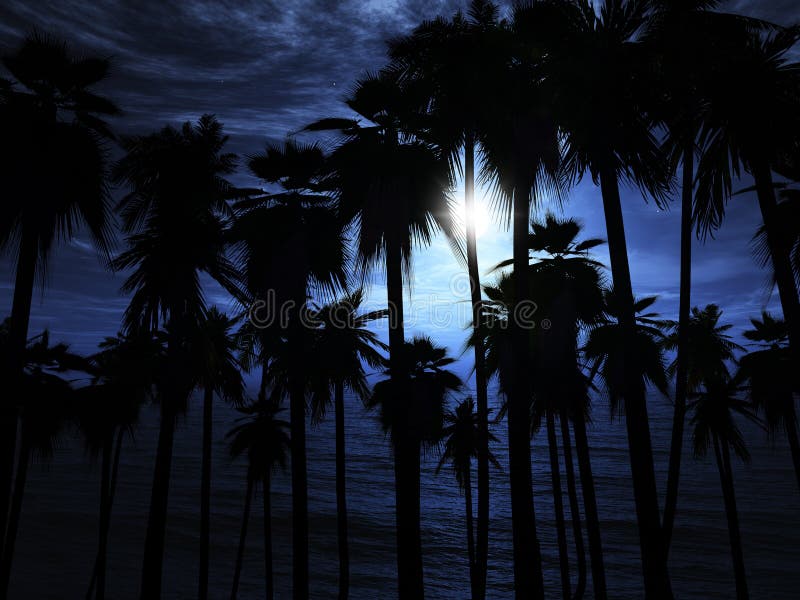 Palm trees at night stock illustration. Illustration of ocean - 56794732