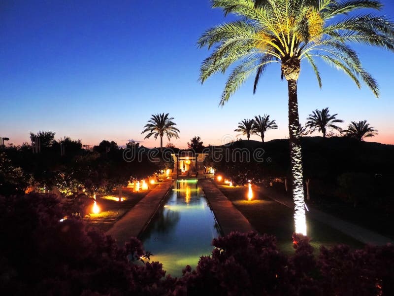 Palm Trees by Night, Hotel or Resort Stock Image - Image of night, back ...