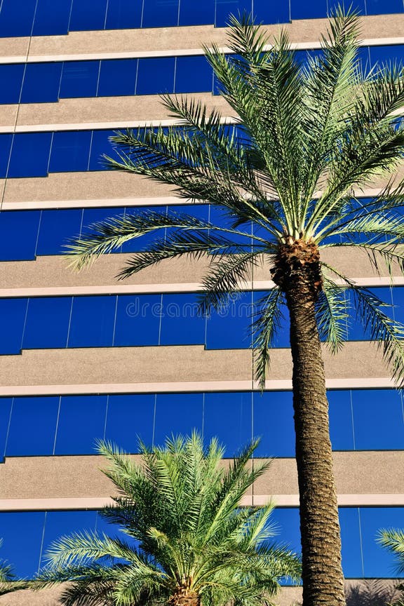 Palm Trees and Office Building Stock Image - Image of high, horizontal ...