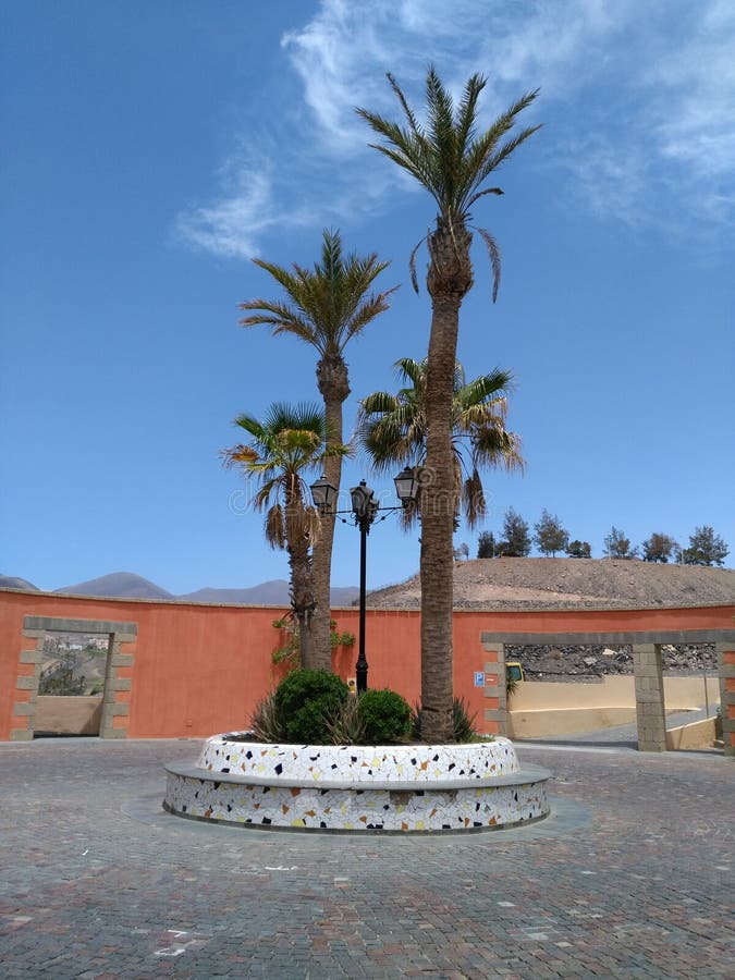 Palm trees stock photo. Image of palm, tree, monument - 89815884