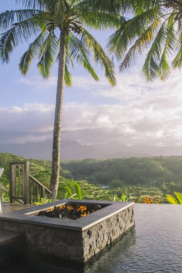 Palm trees by the pool. stock photo. Image of pool, luxury - 25339274