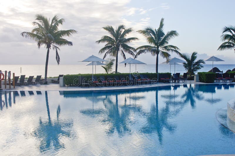 Palm Trees by Pool at Dawn stock photo. Image of destinations - 23111950