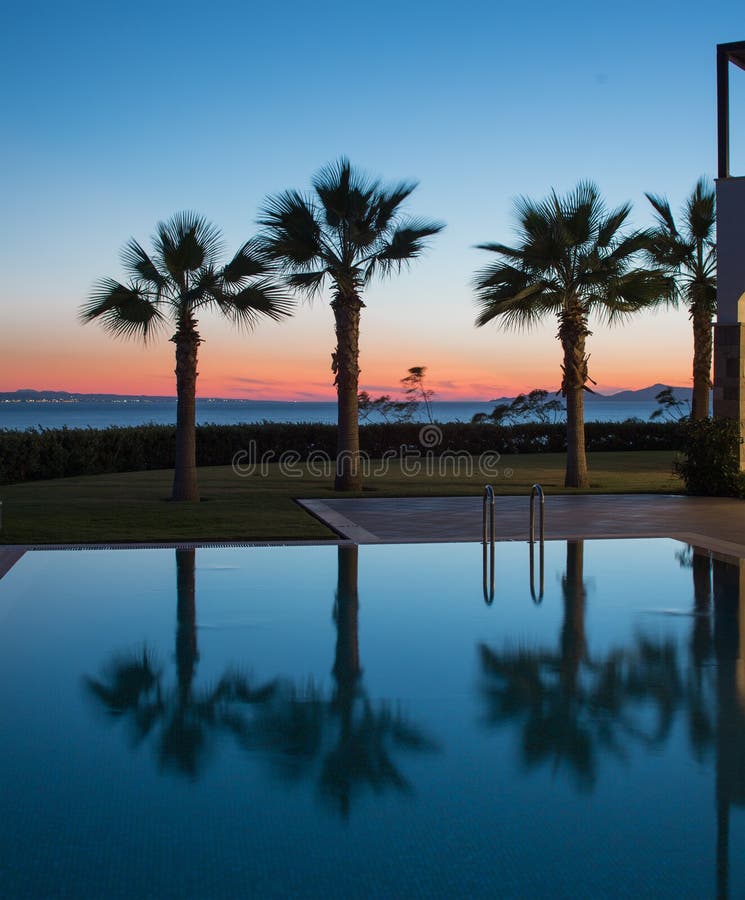 Palm trees and the pool stock photo. Image of luxury - 99119616