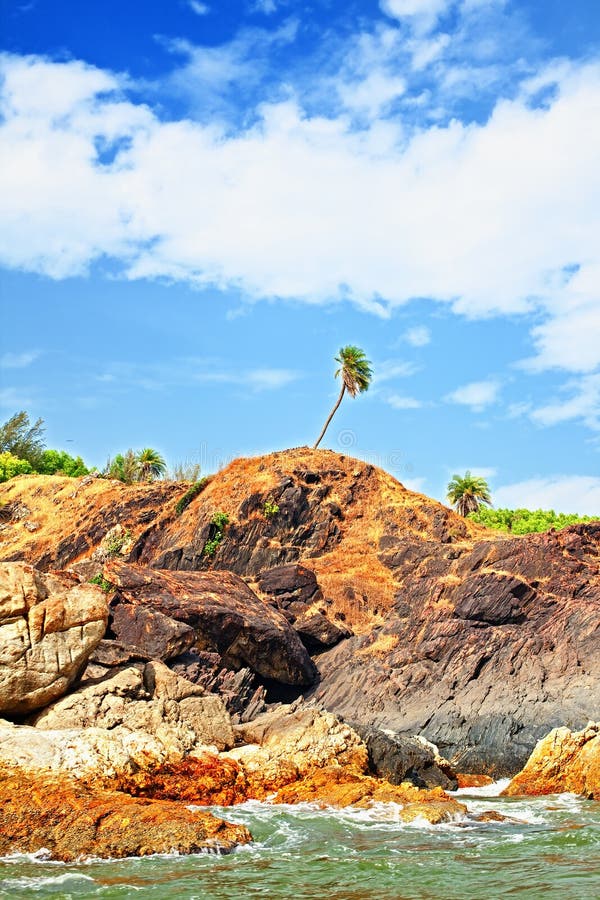 Palm trees, rocks and sea stock photo. Image of summer - 39294050