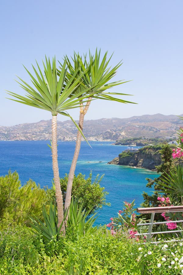 Palm Trees and Sea View in Greece Stock Photo - Image of island ...