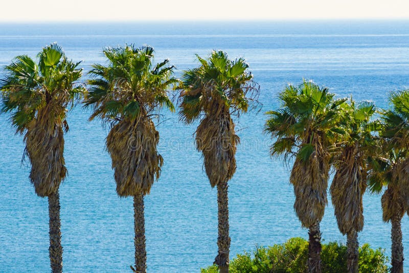 Palm Trees in Sierra Alhamilla Mountains, Spain Stock Photo - Image of ...