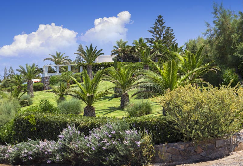 Palm Trees on the Seaside, Crete Stock Photo - Image of europe, summer ...