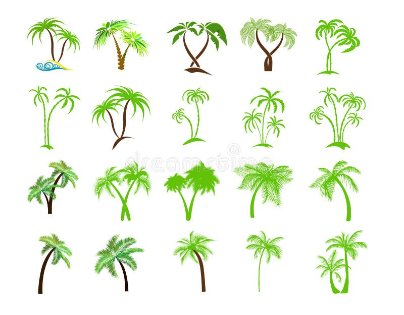 Palm Trees Set. Palm Leaves Elements. Vector Illustration Stock Vector ...