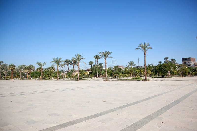 Palm-trees on a square stock photo. Image of resort, tree - 23184256