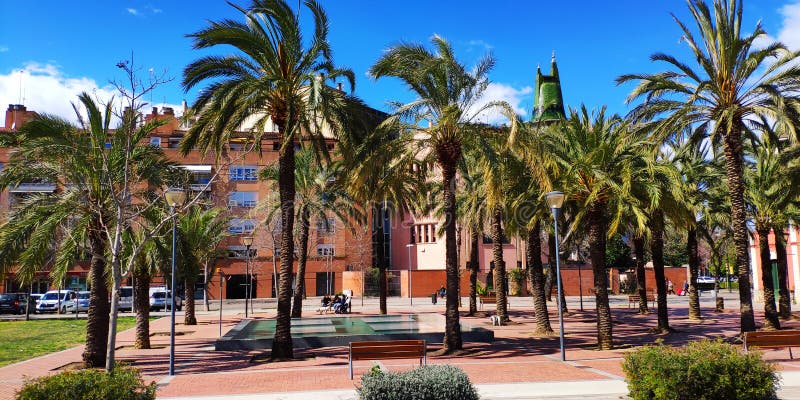 Palm trees in the square. editorial photo. Image of square - 148795661
