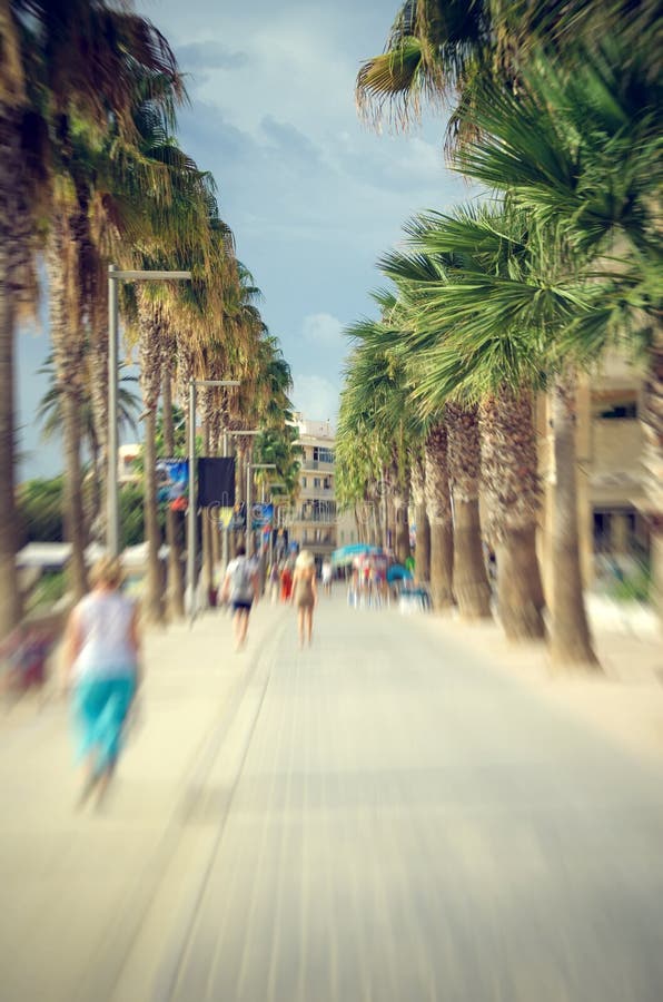 Palm trees on the street stock photo. Image of europe - 45939152