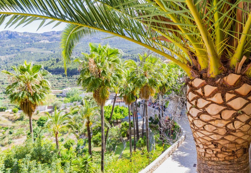 Palm Trees at the Streets of Guadalest Stock Photo - Image of landscape ...