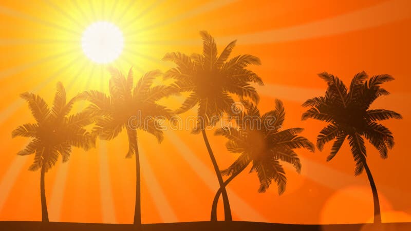 Palm Trees with Sun (Animated HD Background) Stock Footage - Video of ...