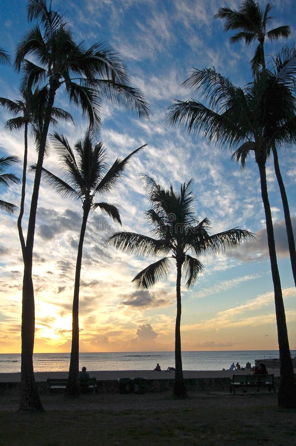 Tropical Sunset on Oahu in Hawaii Stock Photo - Image of tropical ...