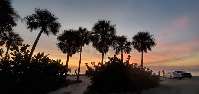 Palm Trees in the Sunset at the Beach, Florida Stock Image - Image of ...