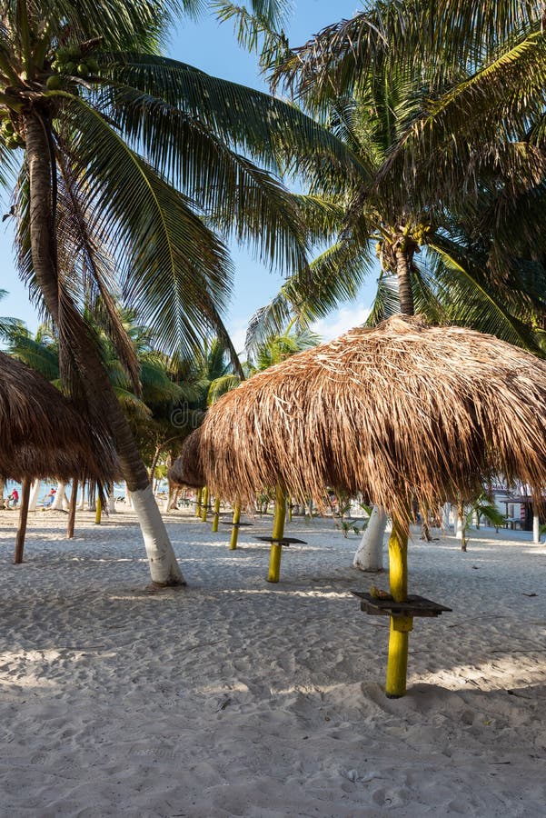Palm Trees and Umbrellas on the Beach in Mahahual Stock Image - Image ...