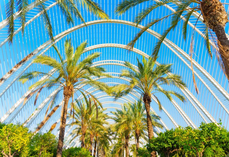 Palm Trees Under a Modern Canopy in Valencia, Spain Stock Image - Image ...